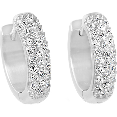 Click here for Mi Tesoro MT-E033PT Preciosa Silver Hoop Earrings prices