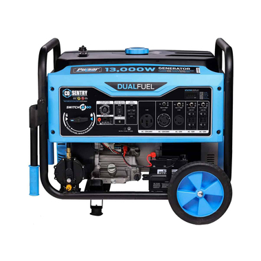 Click here for Pulsar PG13000BRCO 13 000W Dual Fuel Generator prices