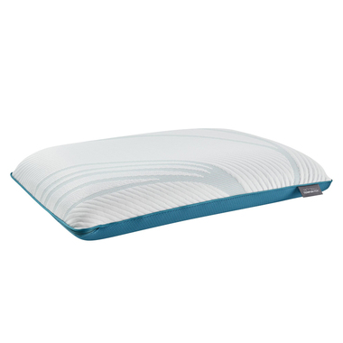 Click here for Tempur-Pedic Adapt(R) Pro-Lo 2.0 Pillow prices