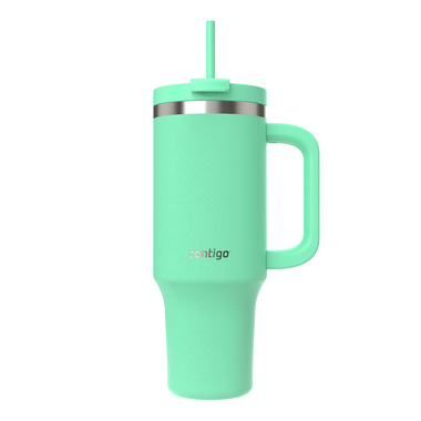 Click here for CONTIGO 2201794 Streeterville Mug prices