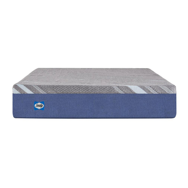 Click here for Sealy 53105930 Twin Medium Mattress prices