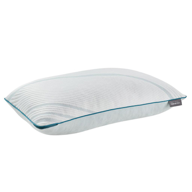 Click here for Tempur-Pedic Adapt(R) Pro-Adjust Pillow prices