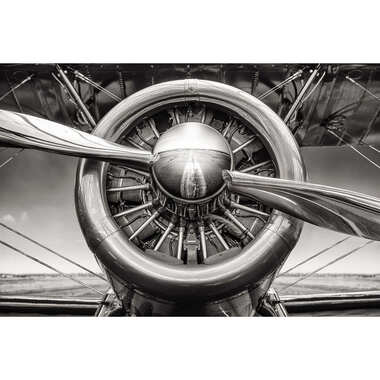 Click here for Classy Living SF1620 Temp Glass with Foil - Propel... prices