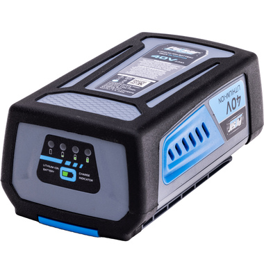 Click here for Pulsar PTB402 40-Volt 2.0Ah Battery prices